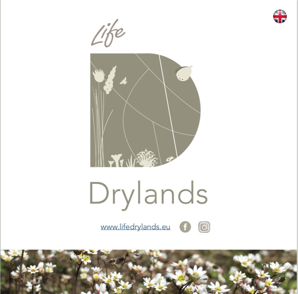 Download | LIFE Drylands
